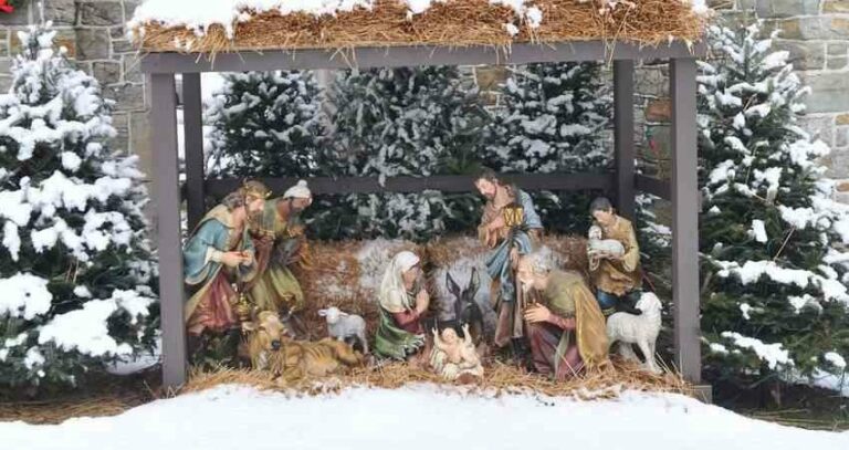 The Story of the Christmas Tree and Why Catholics Decorate Them - ISFCC